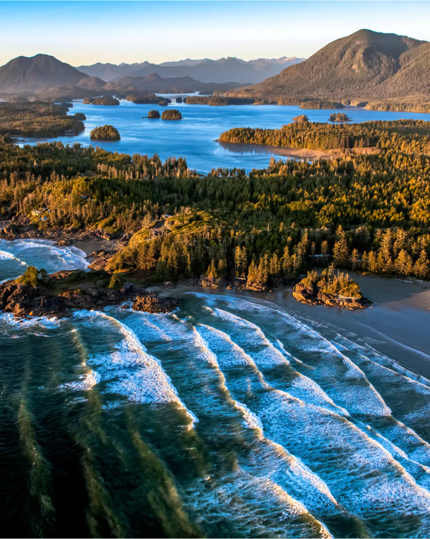 Home Page [www.erif.ca]